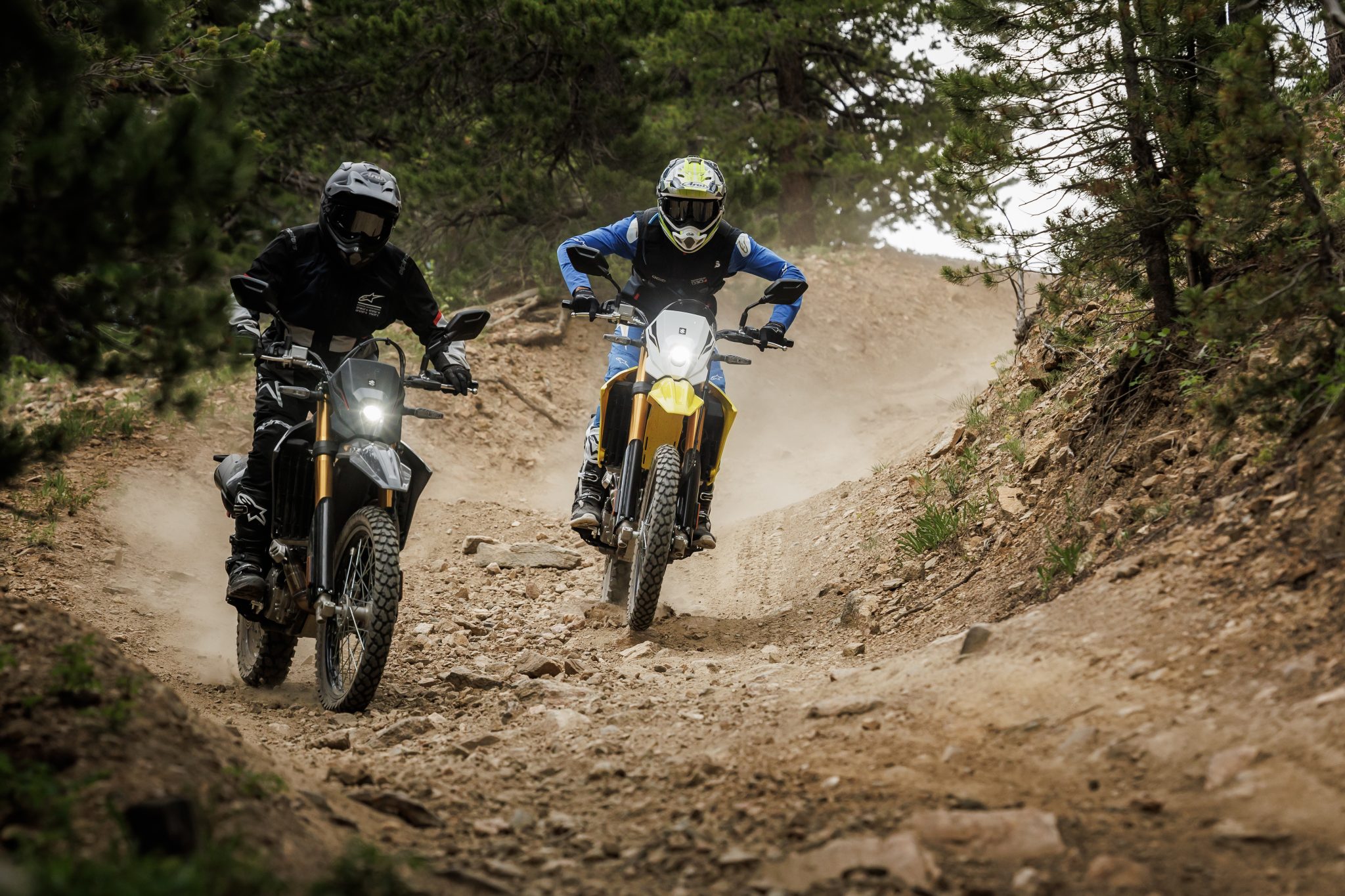 Introducing the All-New DR-Z4S and DR-Z4SM Dual Sport and Supermoto ...